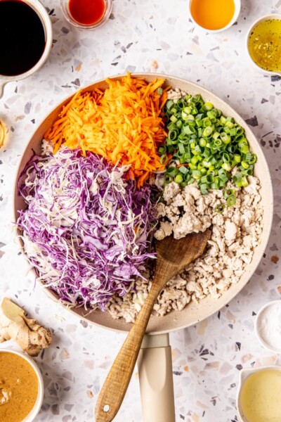 CRISPY GINGER CHICKEN RICE PAPER ROLLS