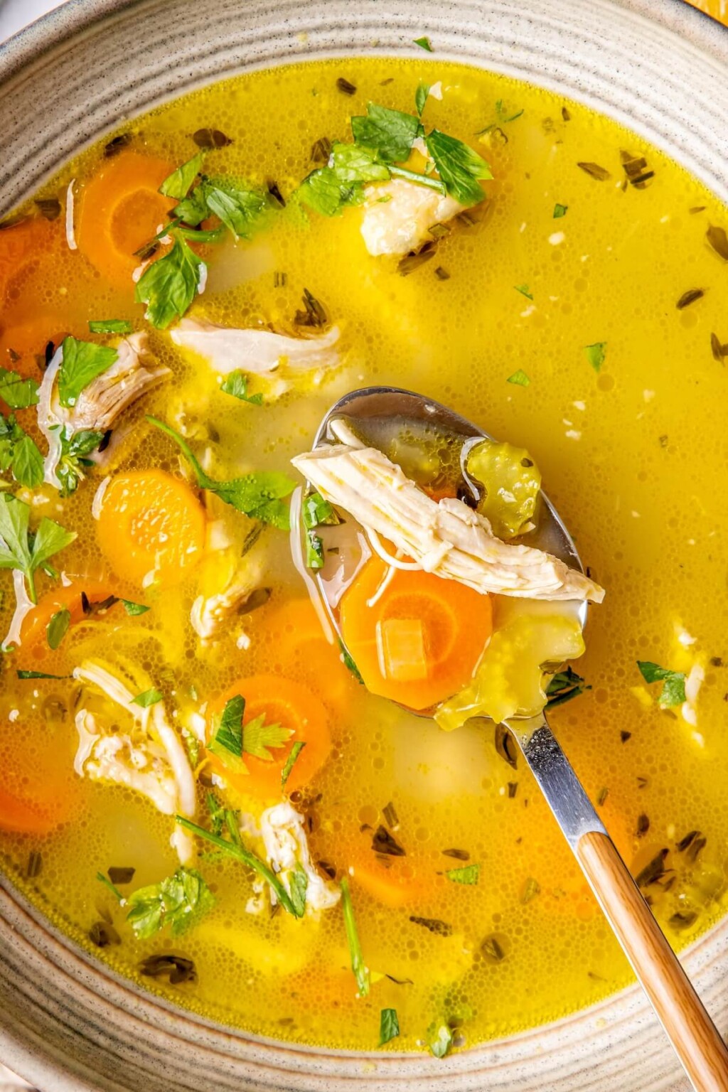 HEALTHY COMFORTING CHICKEN SOUP