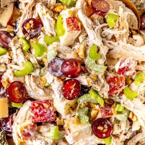 10 BEST & FLAVORFUL CHICKEN SALAD RECIPES