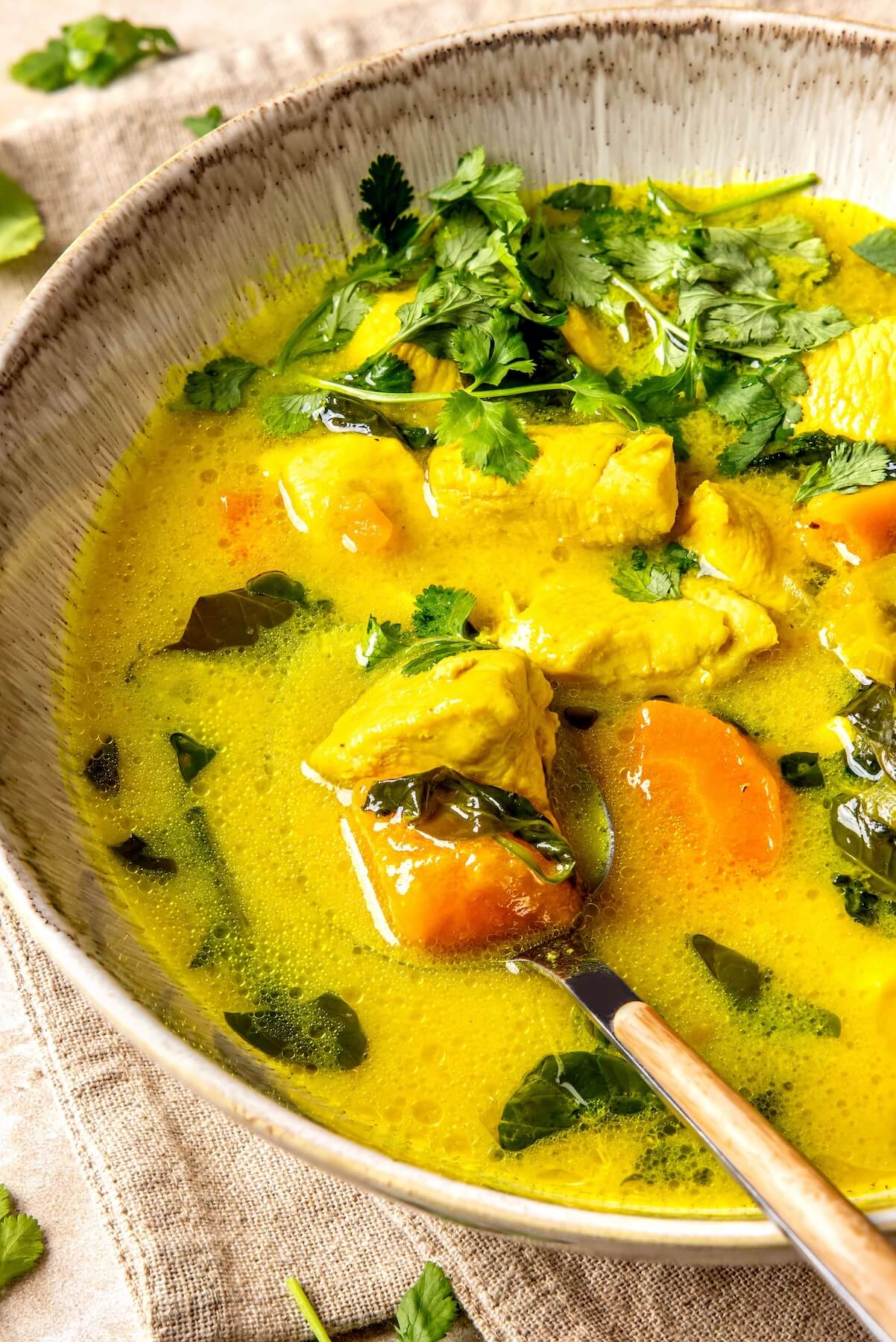 ANTI-INFLAMMATORY TURMERIC CHICKEN STEW